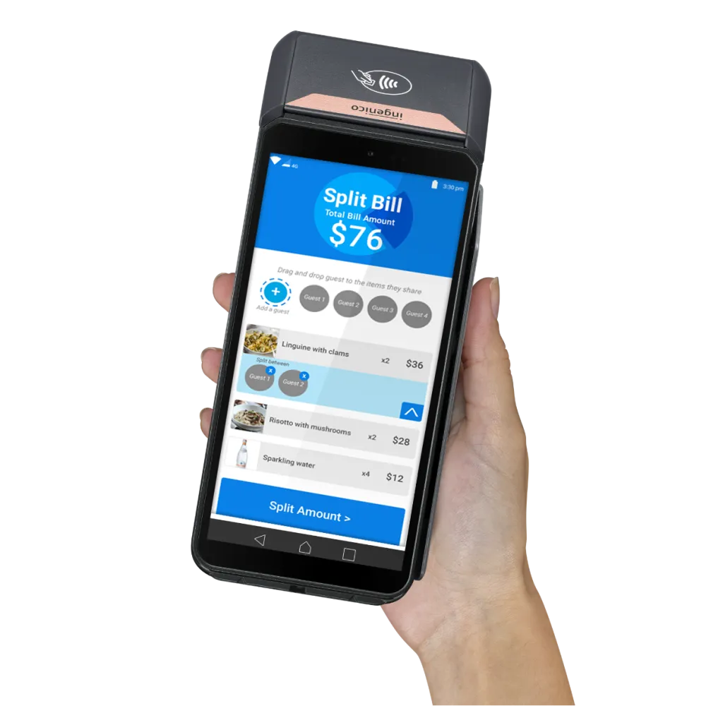 Ingenico | Portable Devices